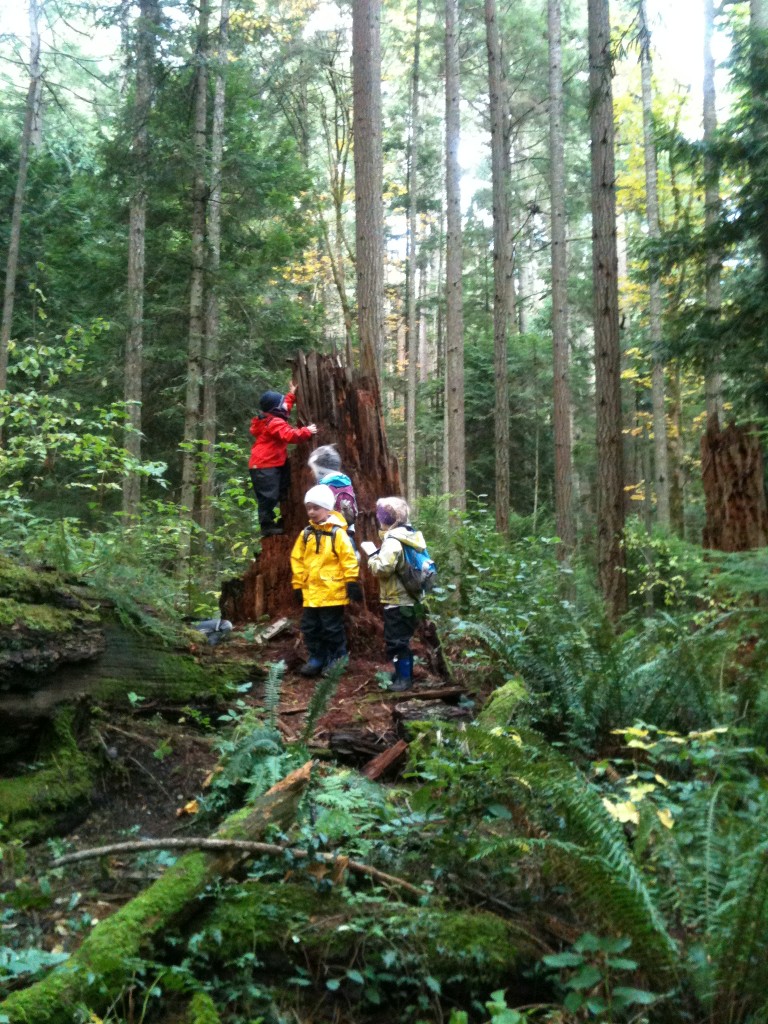 Nature Kindergarten | Nature Kindergarten | Page 5